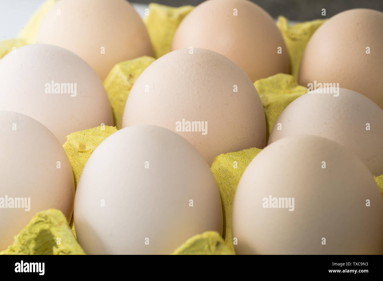 A tray of eggs Stock Photo - Alamy