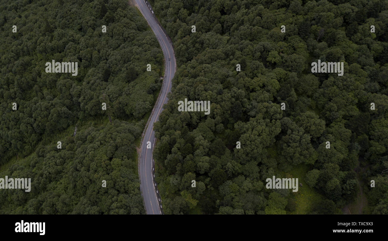 The road of Lulang Linhai, the real place seems to want a pair of ...