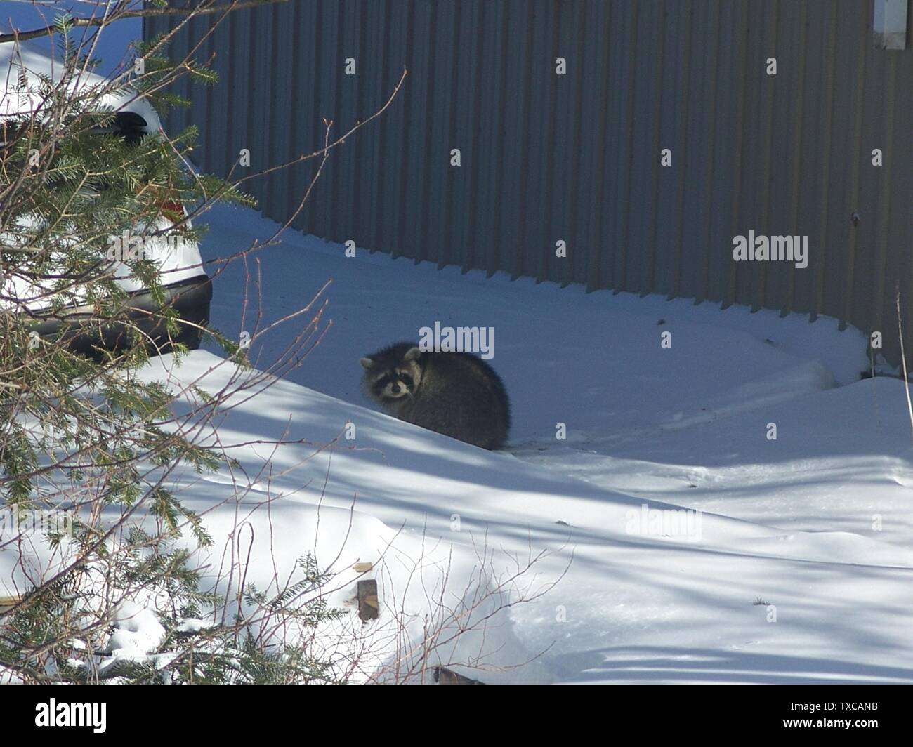 Personnelle High Resolution Stock Photography and Images - Alamy