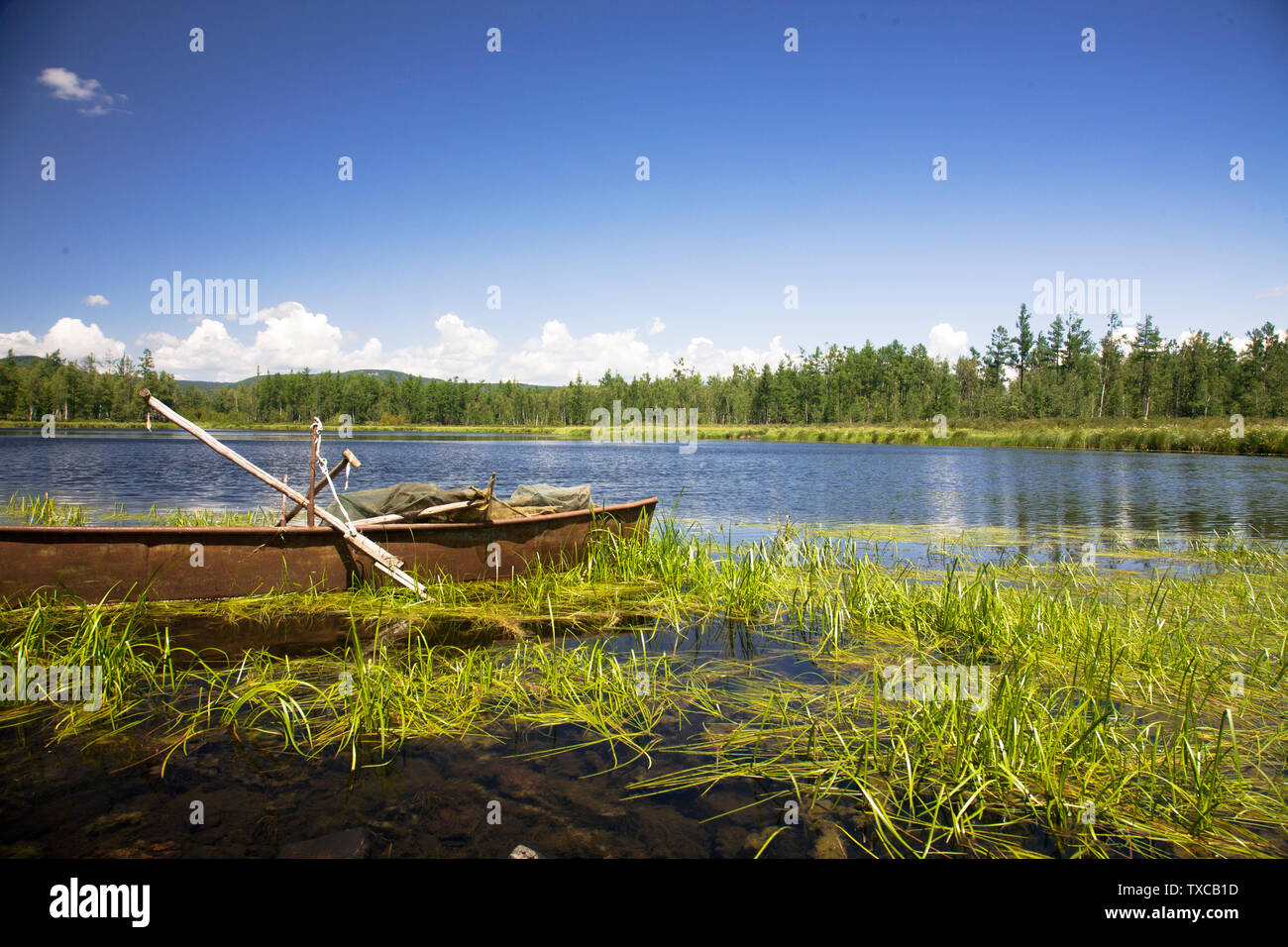 Alshan national forest park hi-res stock photography and images - Alamy