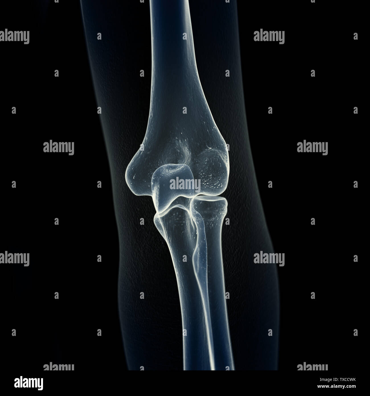 3d rendered medically accurate illustration of the elbow bones Stock ...