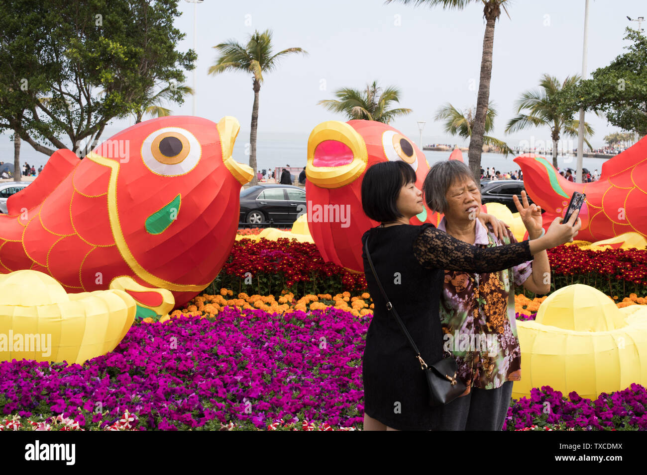Spring Festival 2019, Nafu in the Year of the Pig Stock Photo - Alamy
