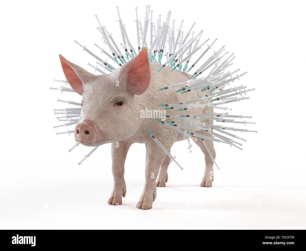 Stuck Pig Stock Photos & Stuck Pig Stock Images - Alamy