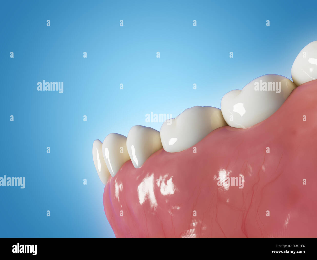 3d rendered medically accurate illustration of the human teeth Stock ...