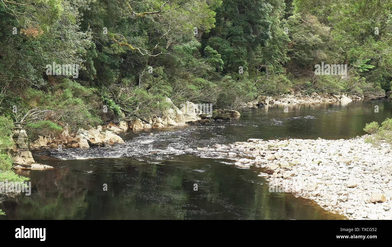 the black river in the tarkine rain forest of tasmania Stock Photo - Alamy