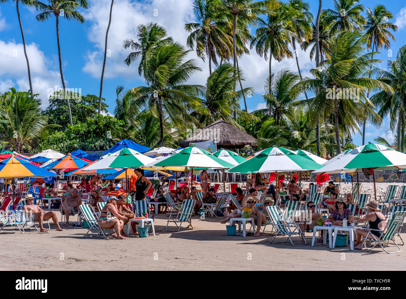 Beautiful brazilian beach hi-res stock photography and images - Alamy
