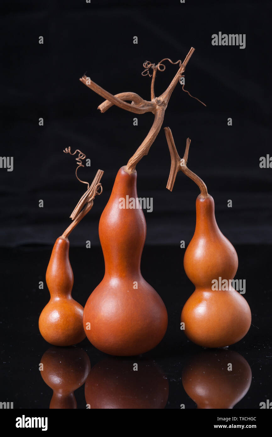 Hand twist gourd hi-res stock photography and images - Alamy
