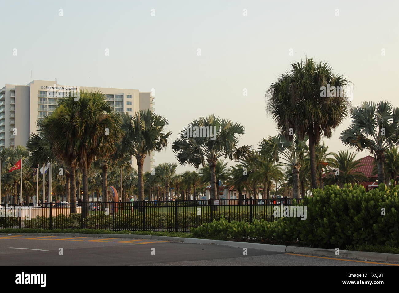 Clearwater Pier 61 Park Clearwater Florida USA Stock Photo - Alamy