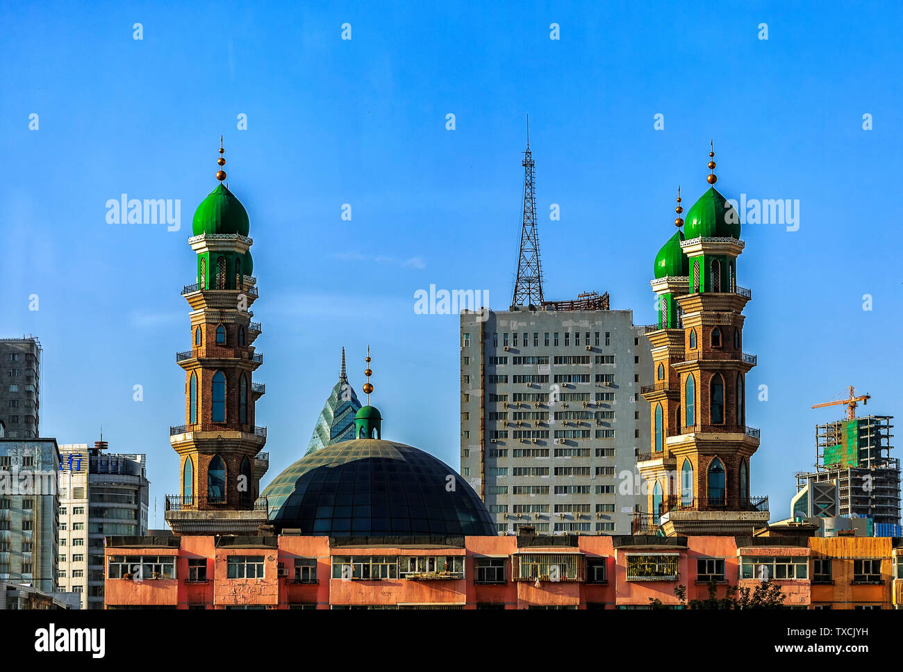 Chrysanthemum Dome High Resolution Stock Photography and Images - Alamy