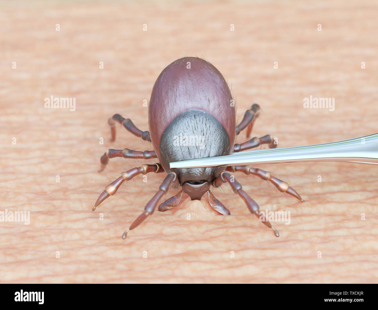 Remove tick illustration hi-res stock photography and images - Alamy