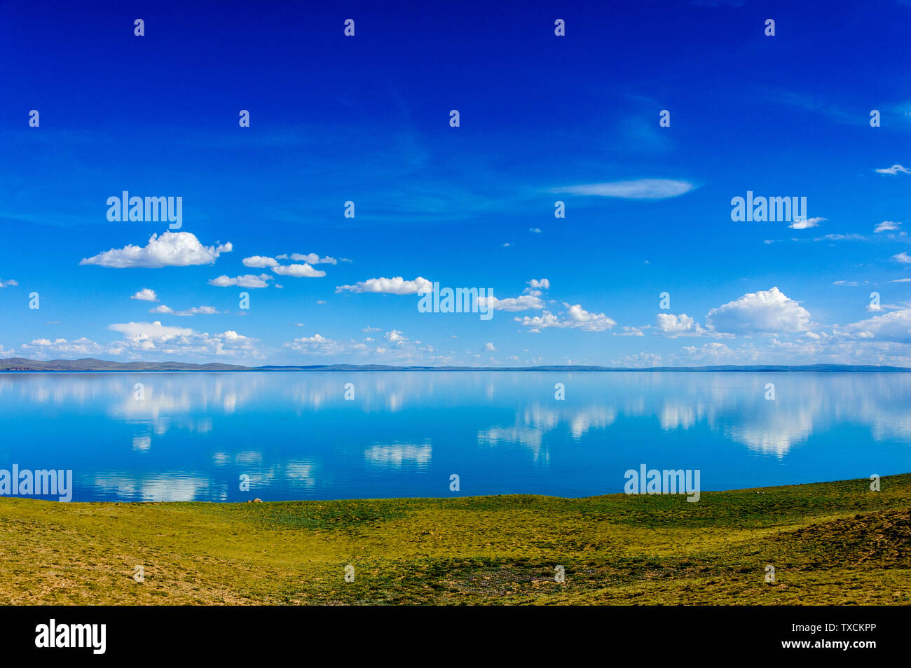 Elong elong hi-res stock photography and images - Alamy