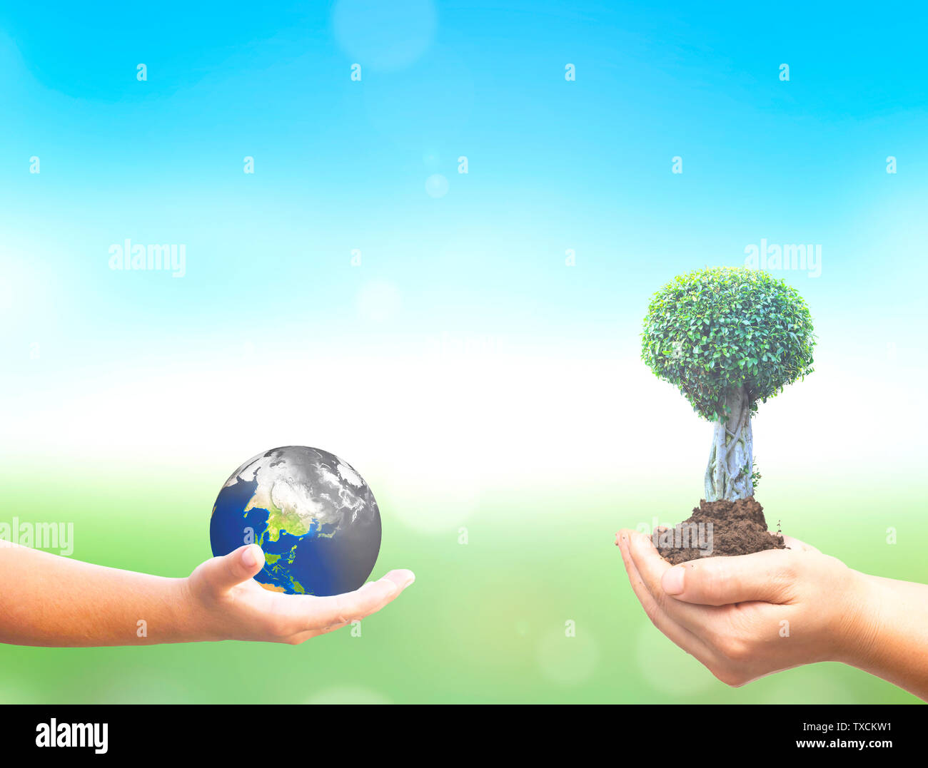 Environmental balance hi-res stock photography and images - Alamy