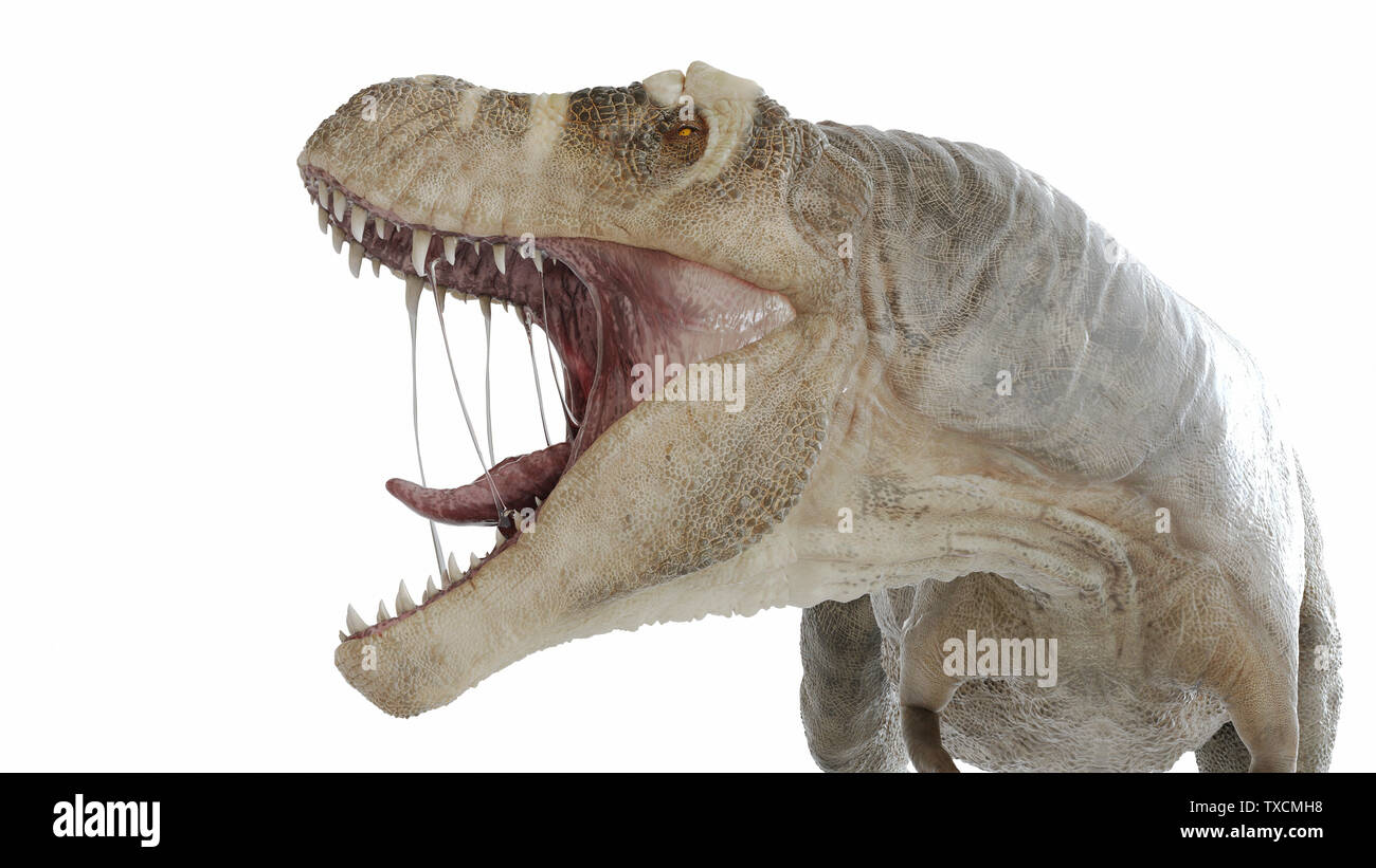 3d rendered illustration of a T-rex Stock Photo - Alamy