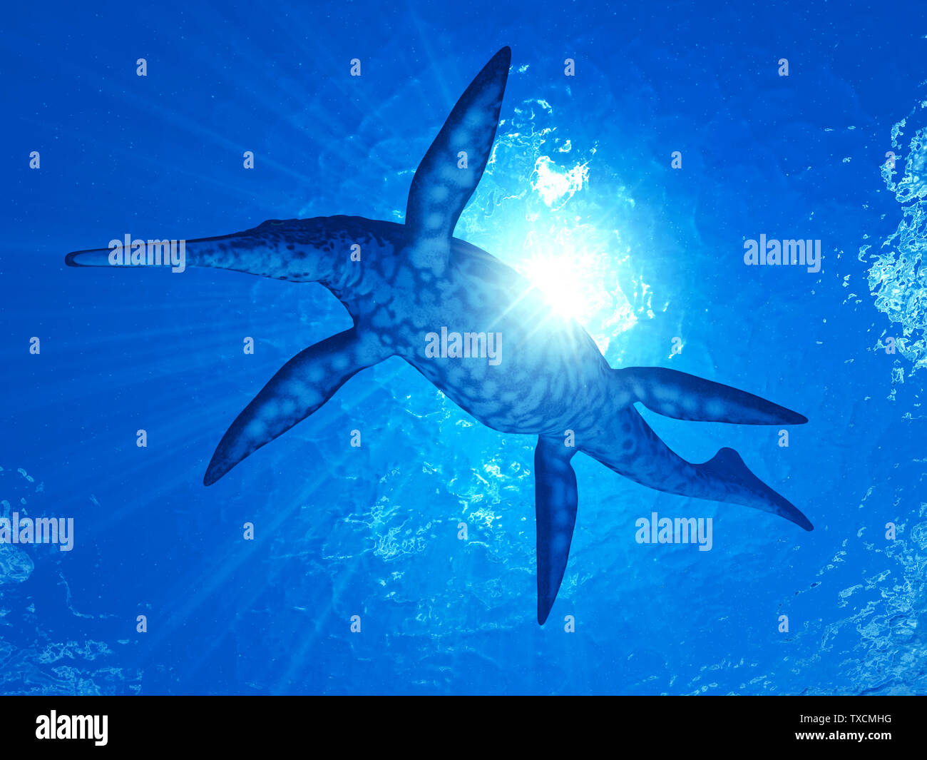 3d rendered illustration of a Shonisaurus Stock Photo - Alamy