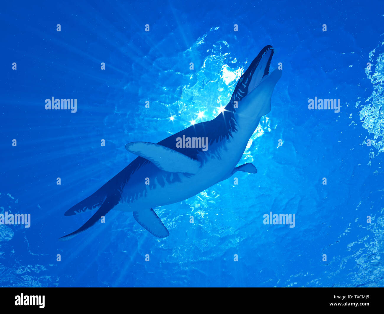 Liopleurodon liopleurodon hi-res stock photography and images - Alamy