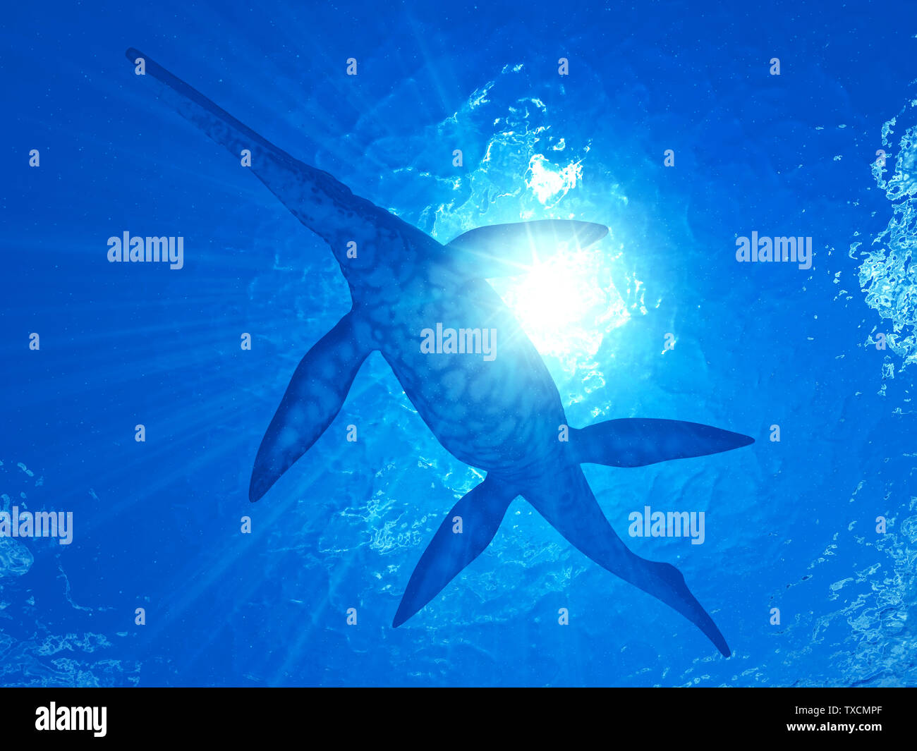 3d rendered illustration of a Shonisaurus Stock Photo - Alamy