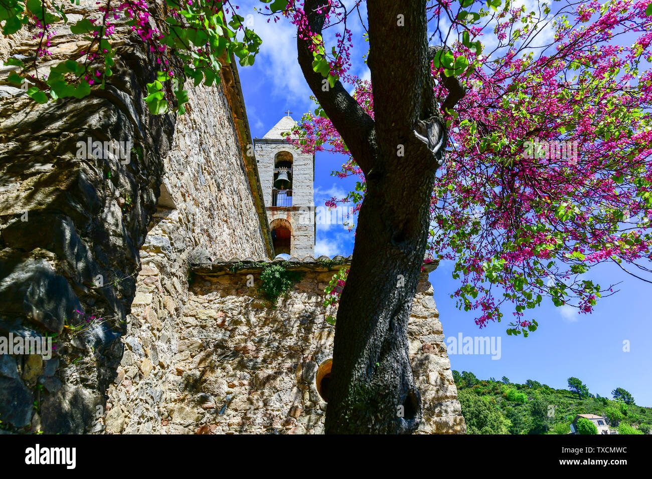 Church of Ventiseri during spring time, Corse, France Stock Photo - Alamy