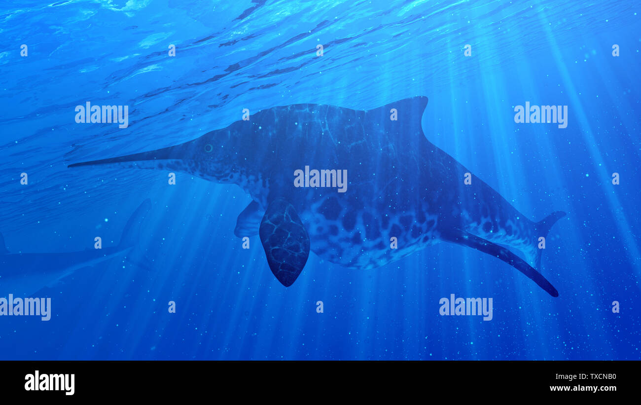 3d rendered illustration of a Shonisaurus Stock Photo - Alamy