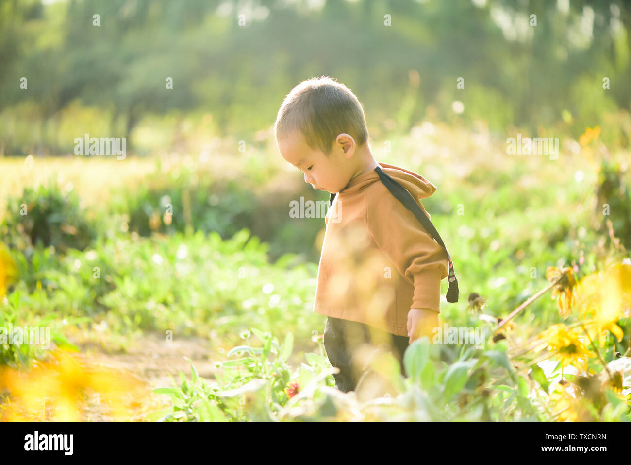 Little boy in the bushes Stock Photo - Alamy
