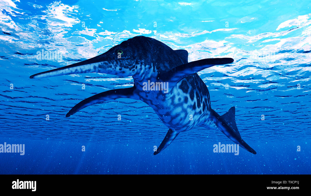 3d rendered illustration of a Shonisaurus Stock Photo - Alamy