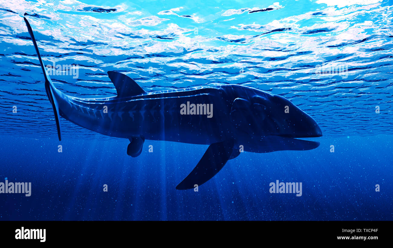 3d rendered illustration of a Leedsichthys Stock Photo - Alamy