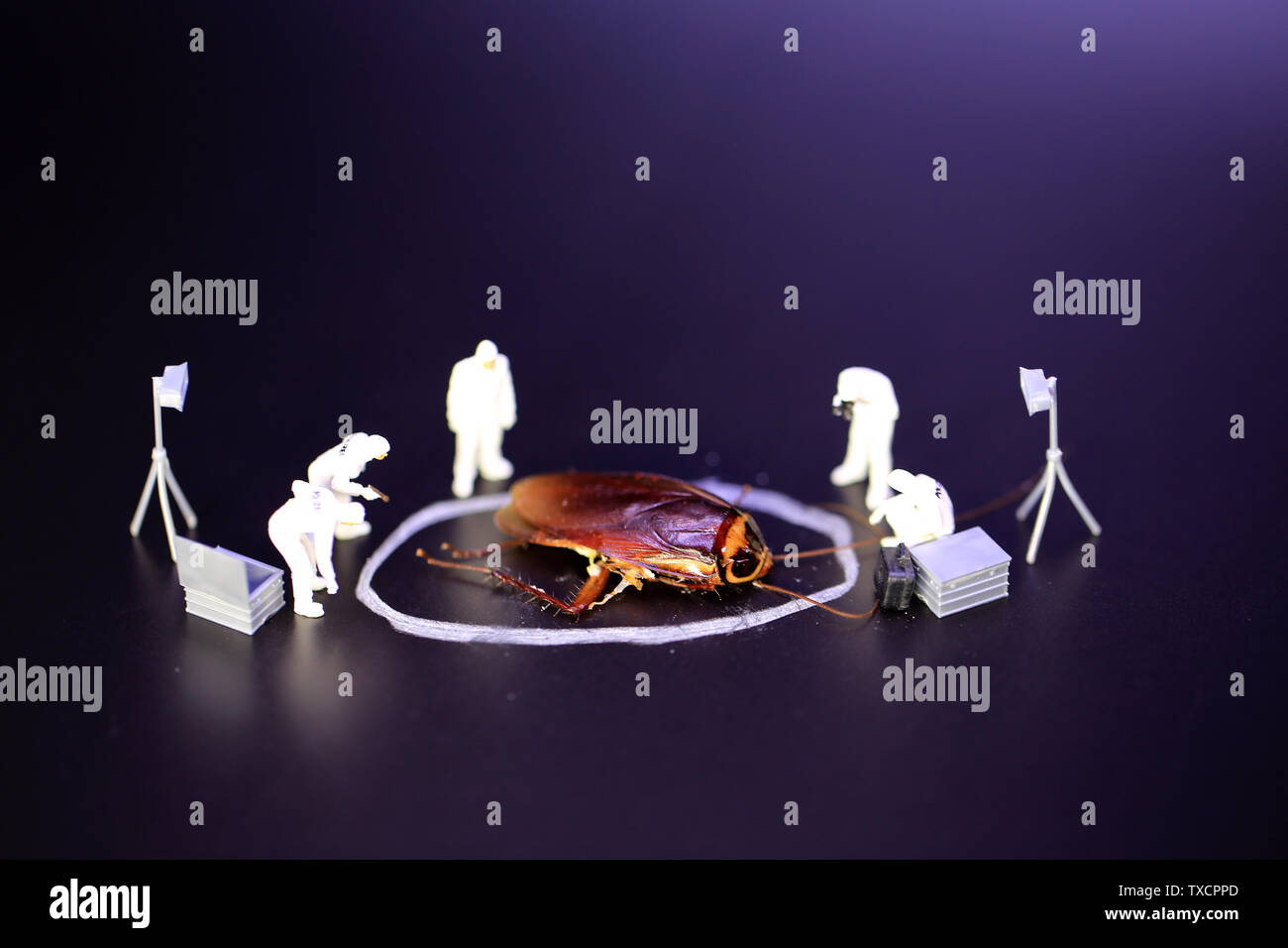 pest control investigating team effort Stock Photo - Alamy