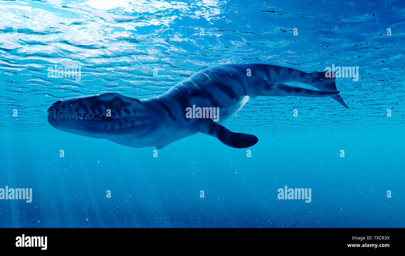 3d rendered illustration of a dakosaurus Stock Photo - Alamy