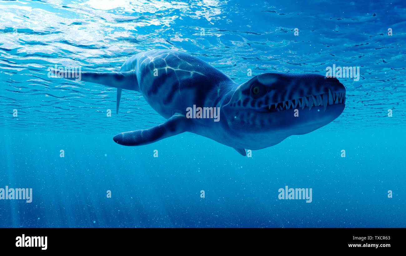 3d rendered illustration of a dakosaurus Stock Photo - Alamy