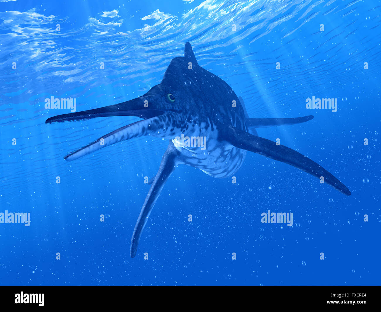Shonisaurus hi-res stock photography and images - Alamy