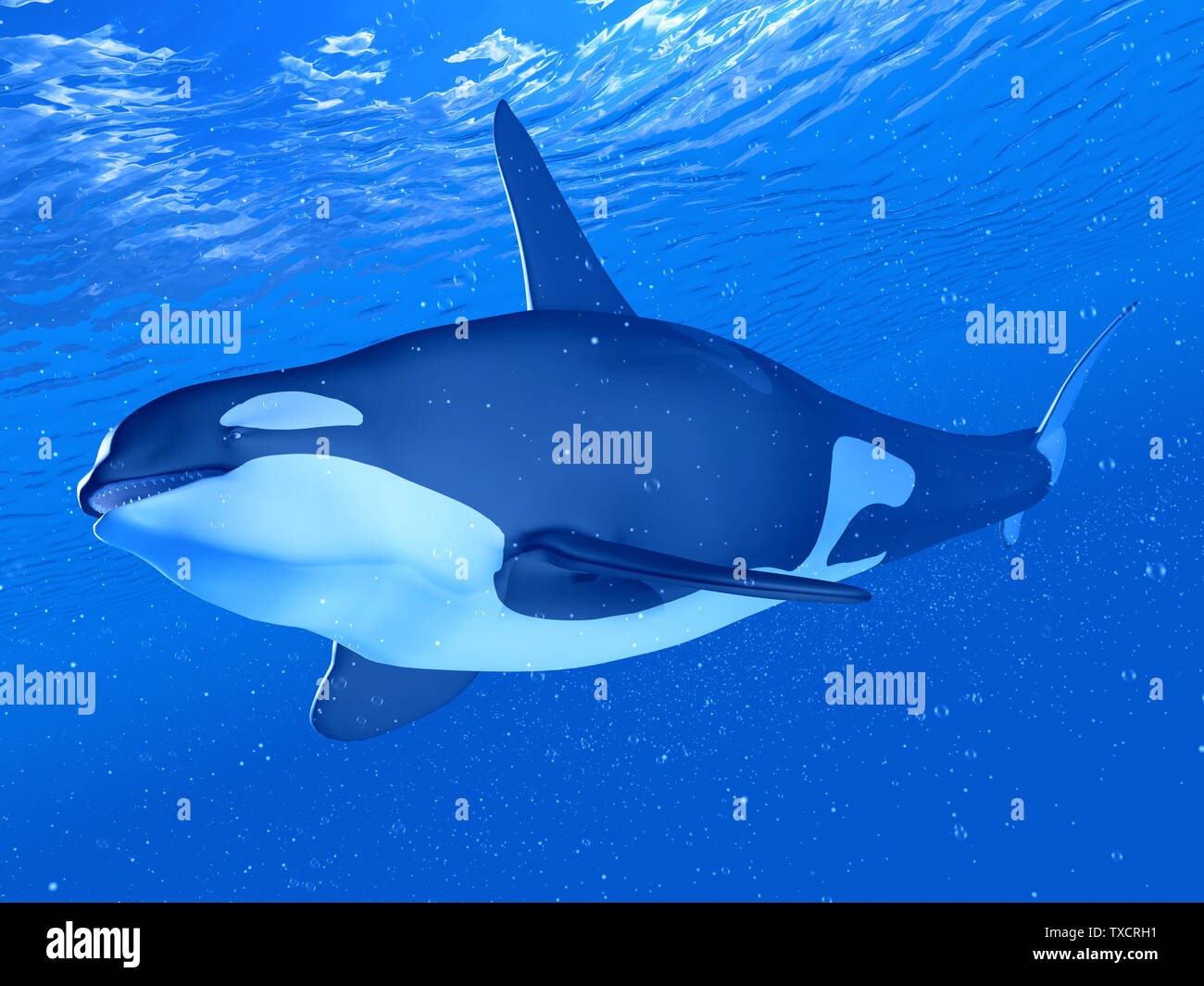 3d rendering killer whale orca hi-res stock photography and images - Alamy
