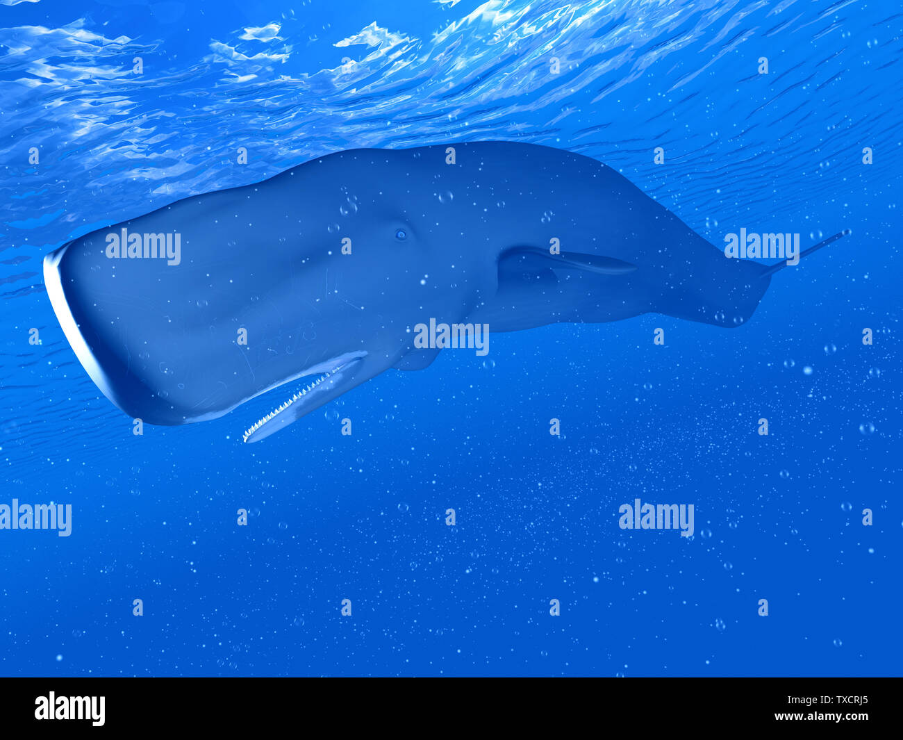 Diving sperm whale underwater hi-res stock photography and images - Alamy