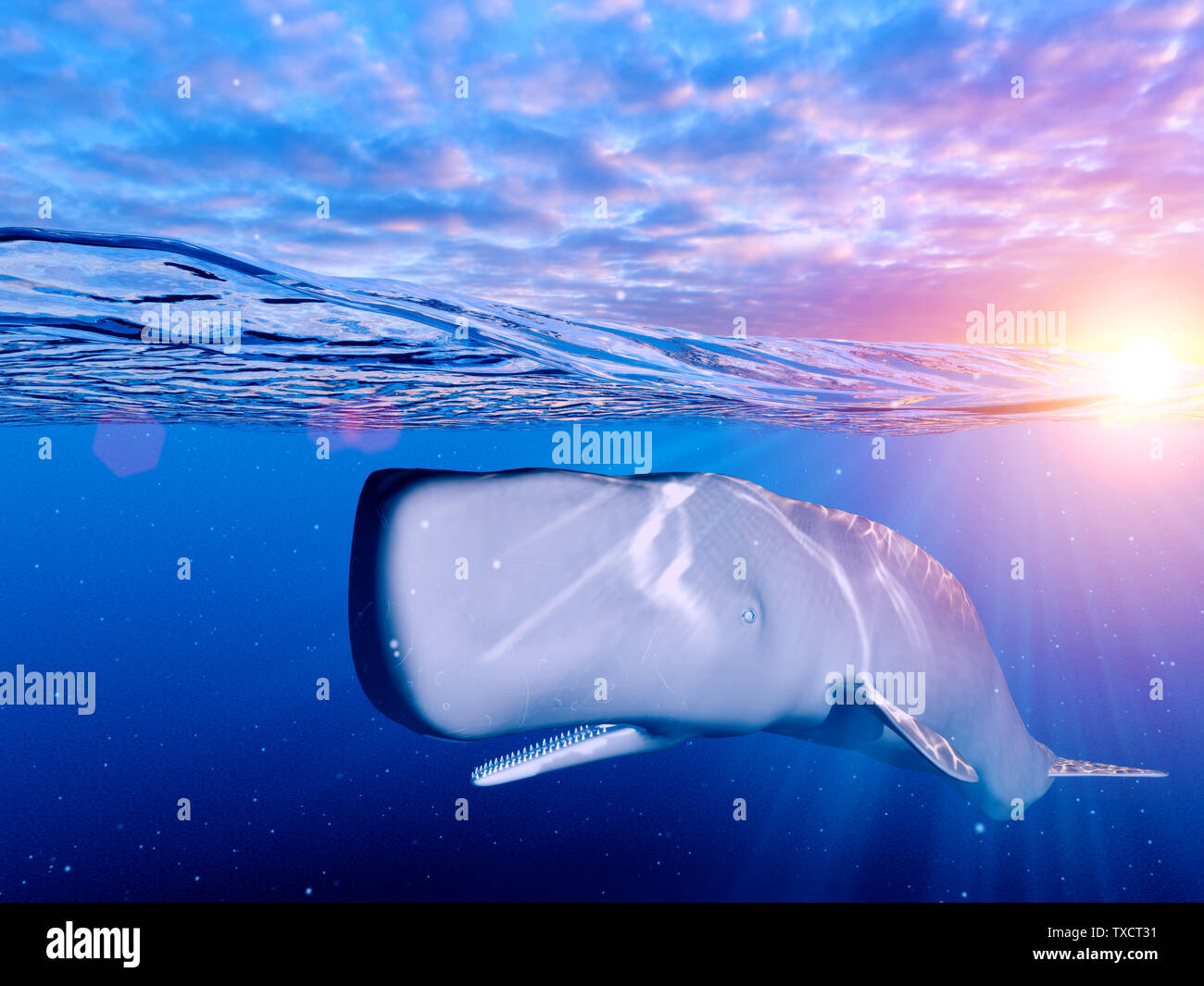 Sperm whale swimming underwater hi-res stock photography and images - Alamy
