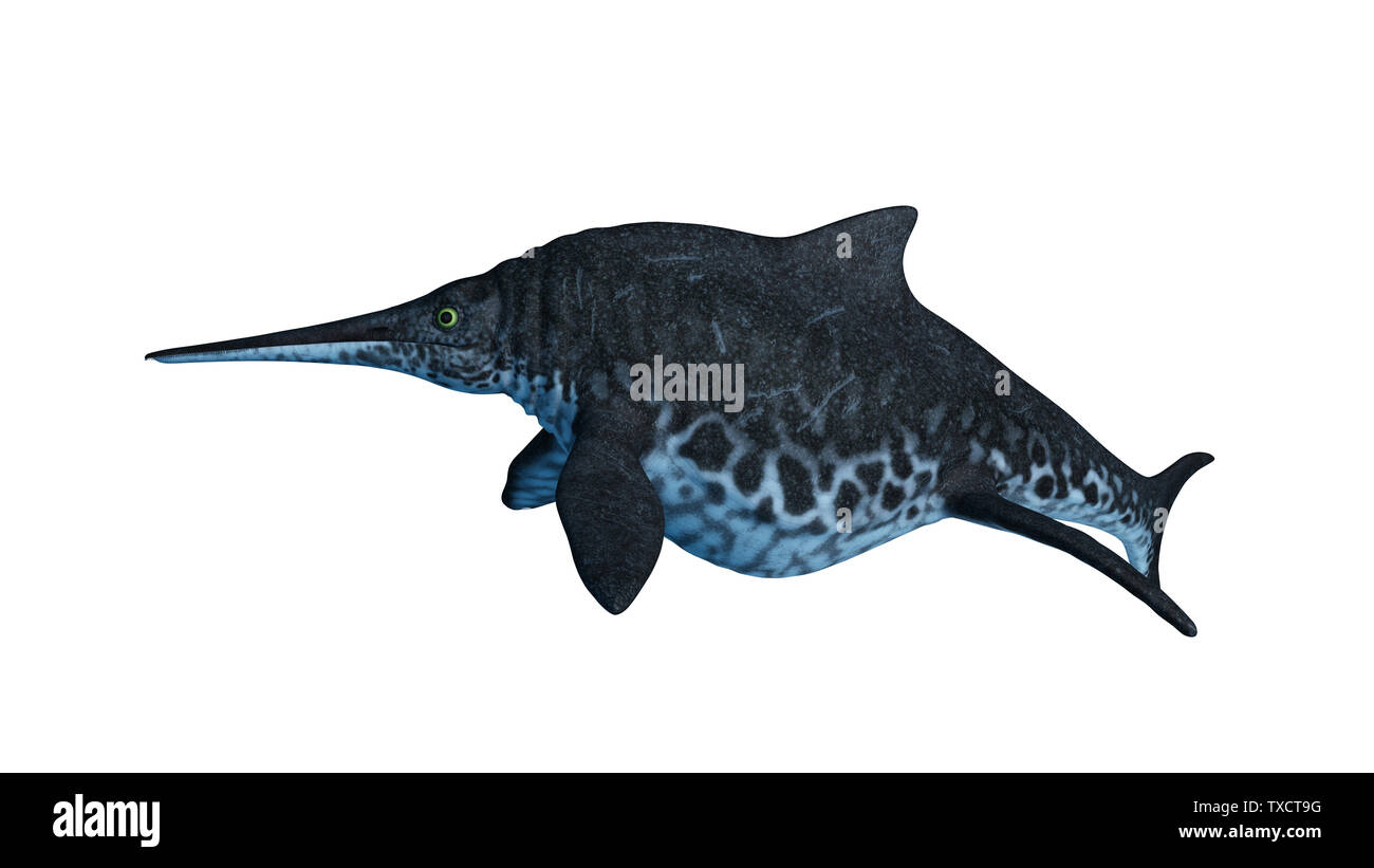 3d rendered illustration of a Shonisaurus Stock Photo - Alamy