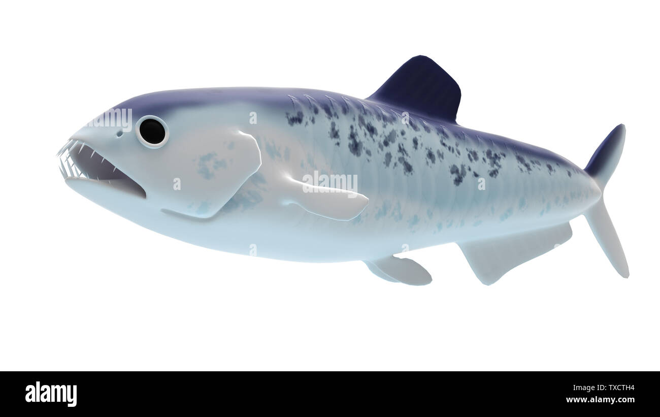 3d rendered illustration of an enchodus Stock Photo - Alamy