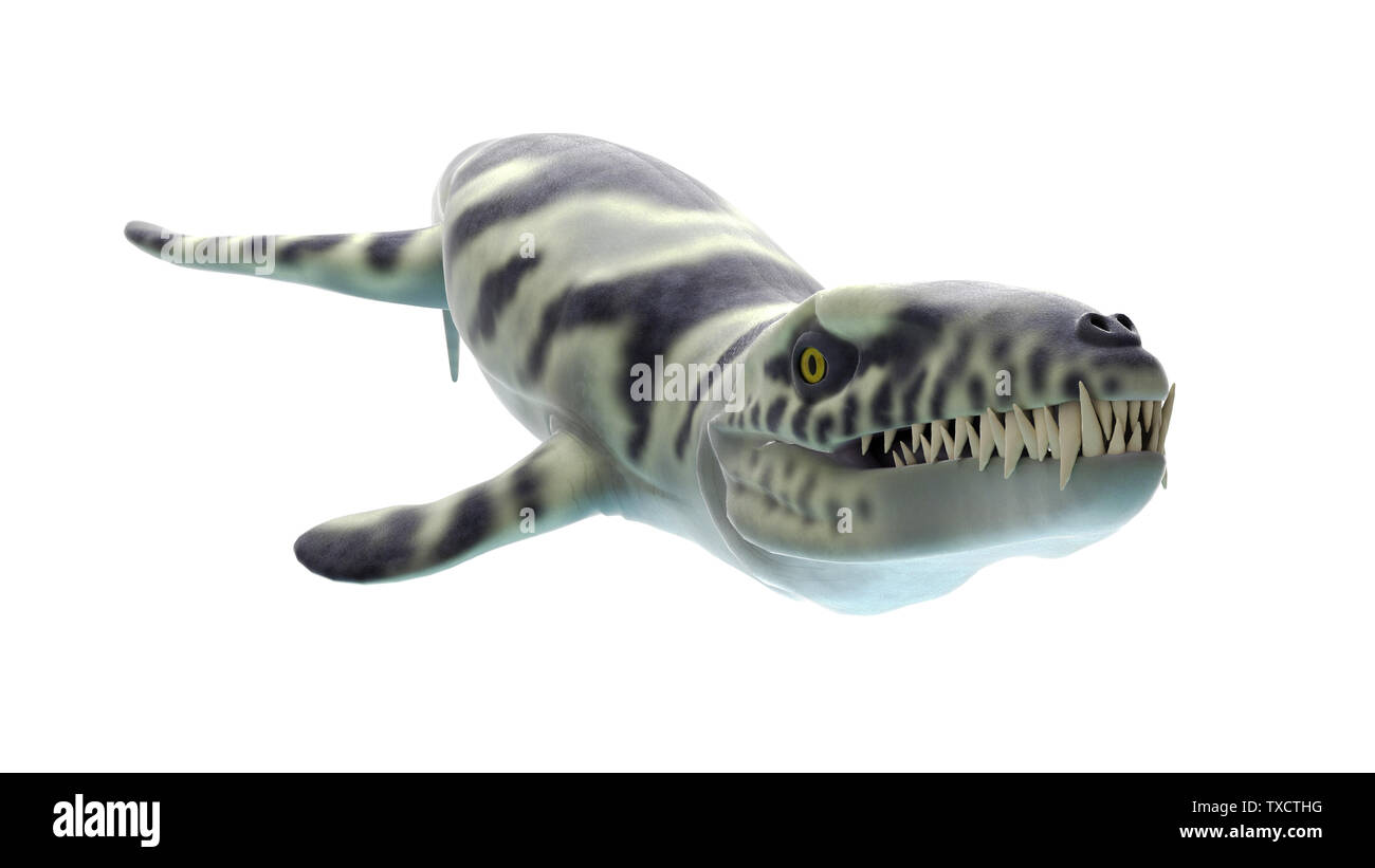 3d rendered illustration of a dakosaurus Stock Photo - Alamy