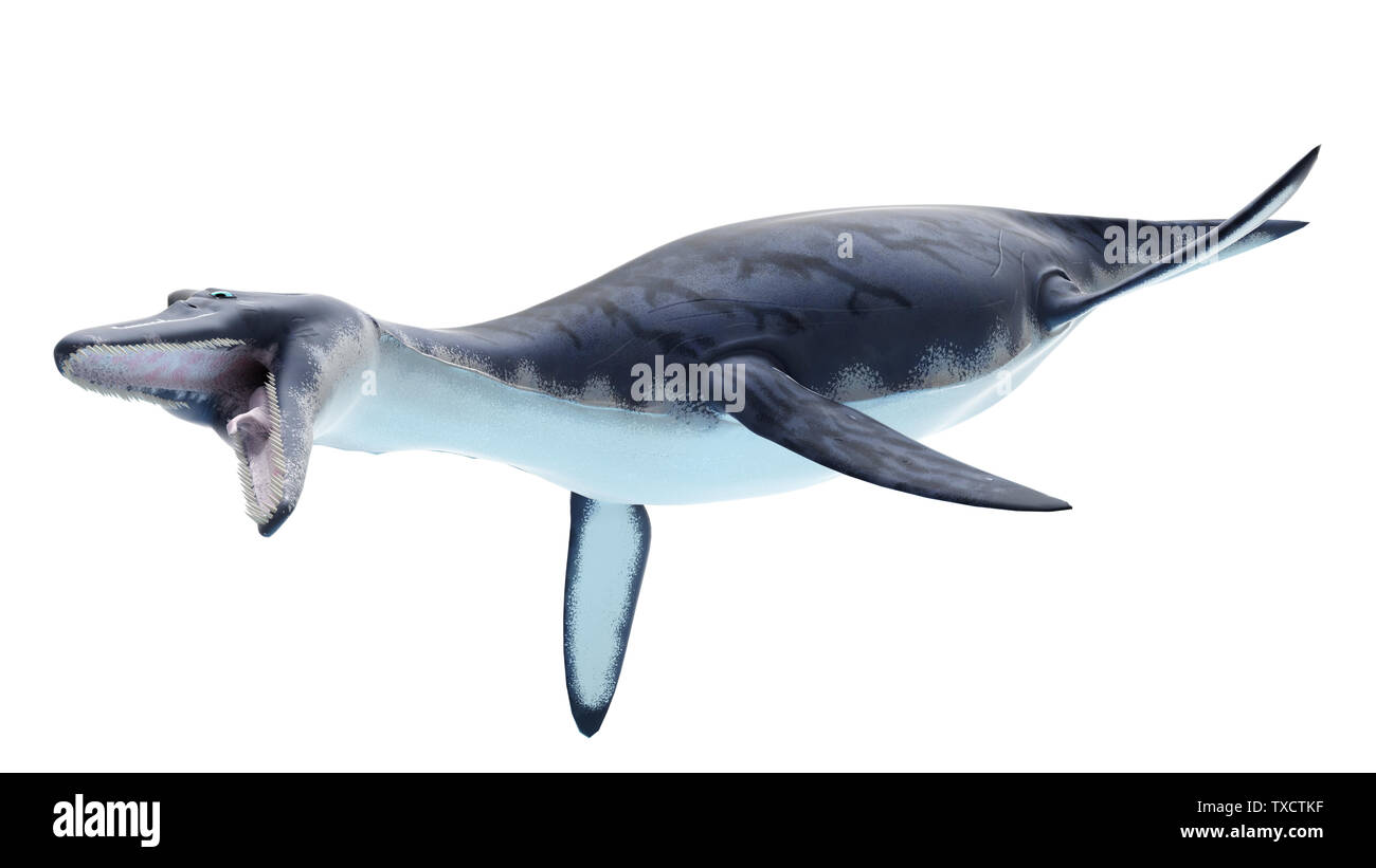 3d rendered illustration of a dolichorhynchops Stock Photo - Alamy