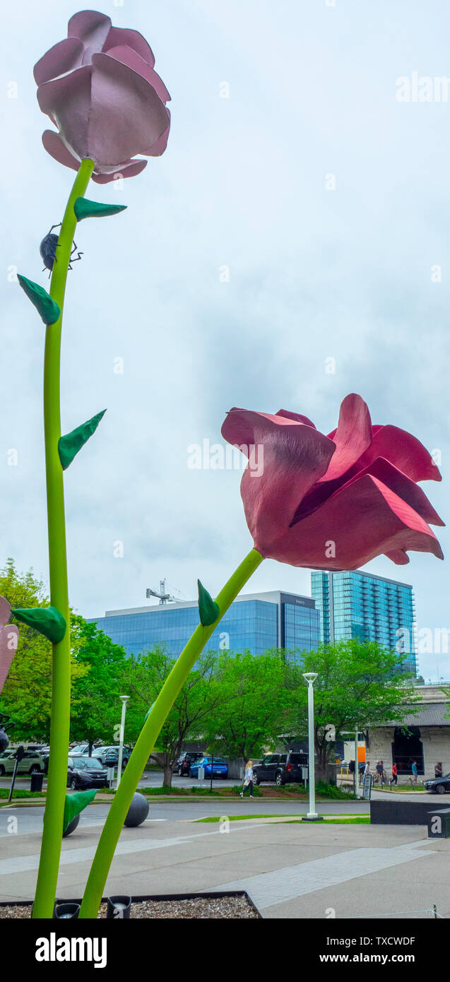 Rose on 65th street hi-res stock photography and images - Alamy