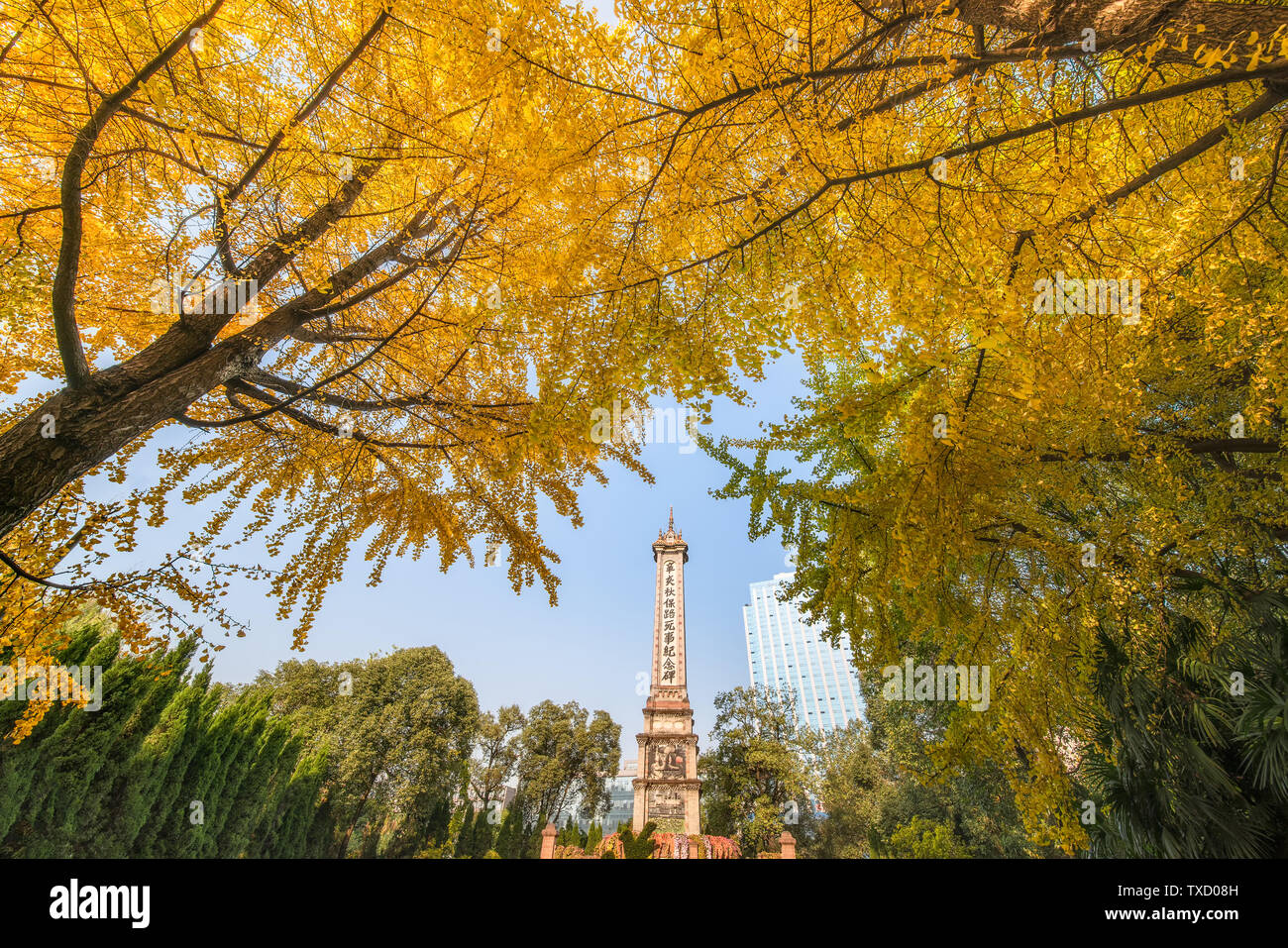 Autumn Scenery of Chengdu People's Park Stock Photo - Alamy