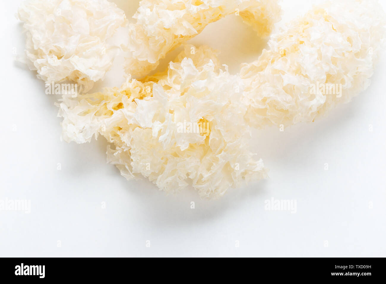 Silver ear fungus tremella fuciformis hi-res stock photography and ...