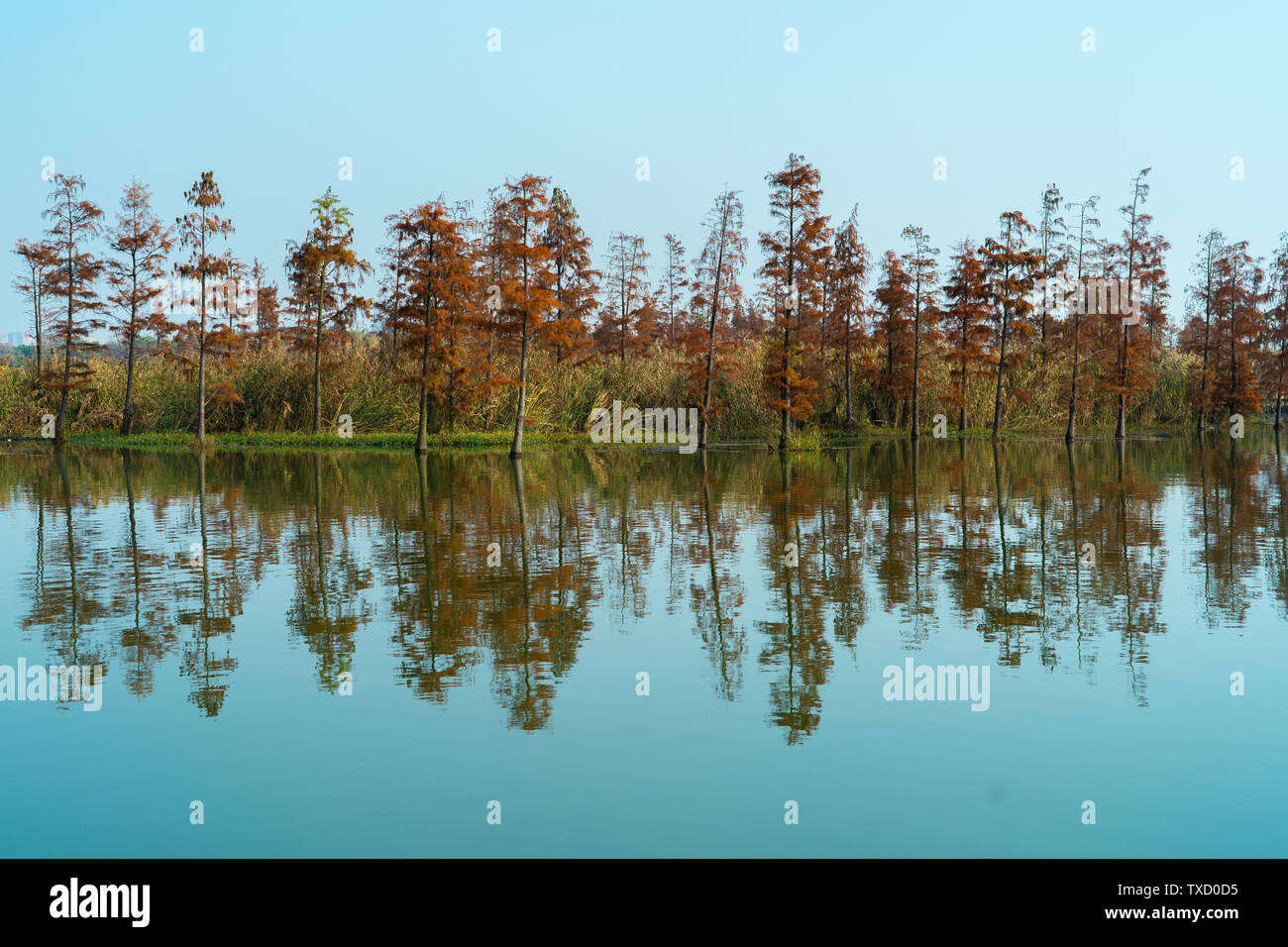 Scenery & Still Life Photography Stock Photo - Alamy