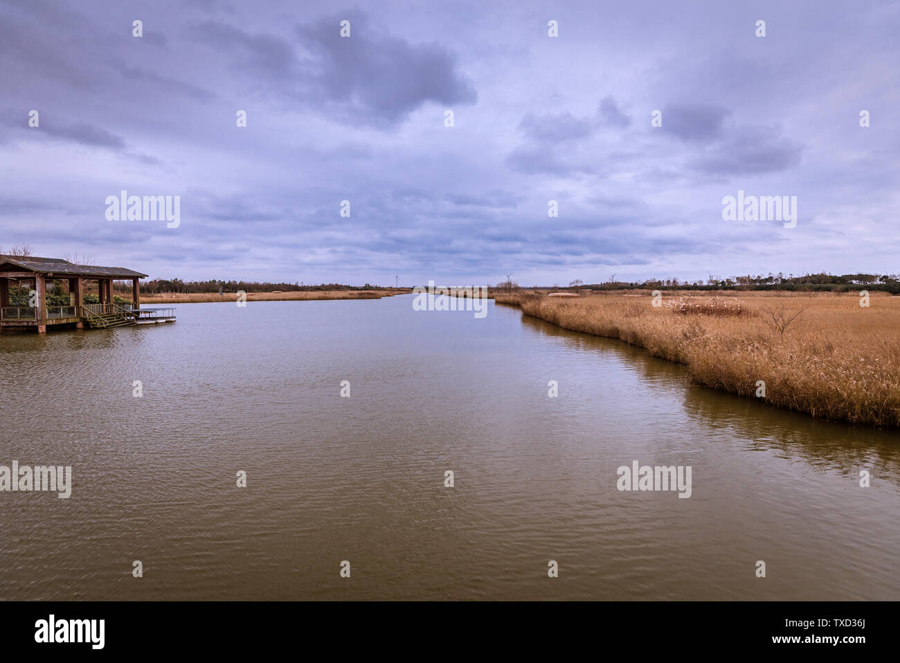 Chongming hi-res stock photography and images - Alamy