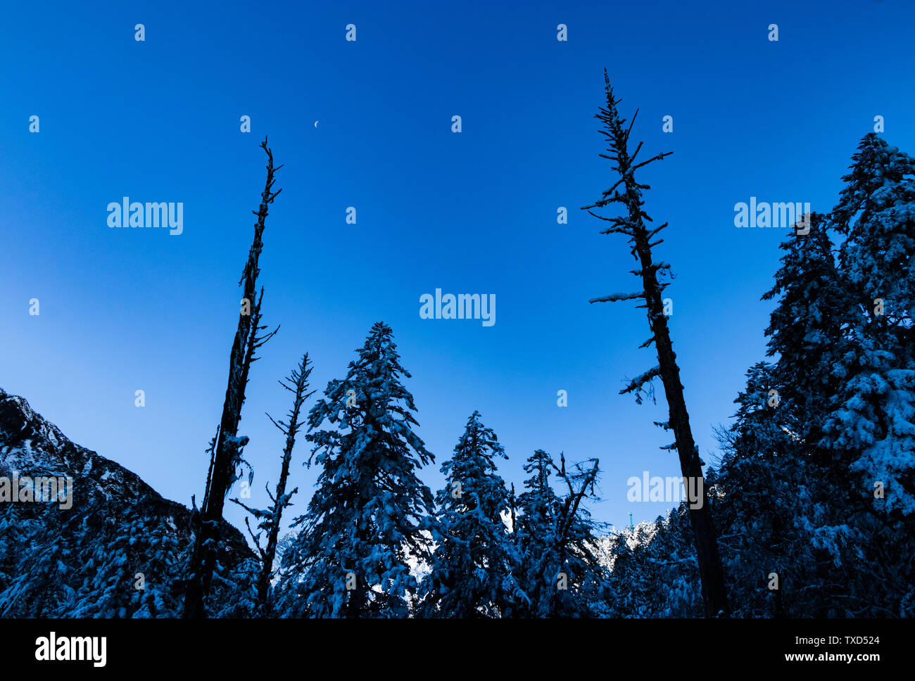 Chengdu snow mountains hi-res stock photography and images - Alamy