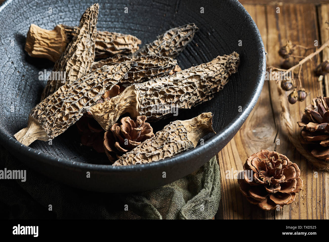 Mycelium Fungi High Resolution Stock Photography and Images - Alamy
