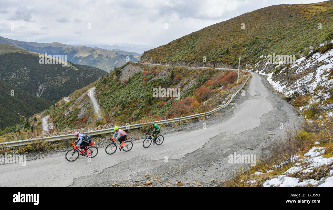 Road cycling race photos Stock Photo - Alamy