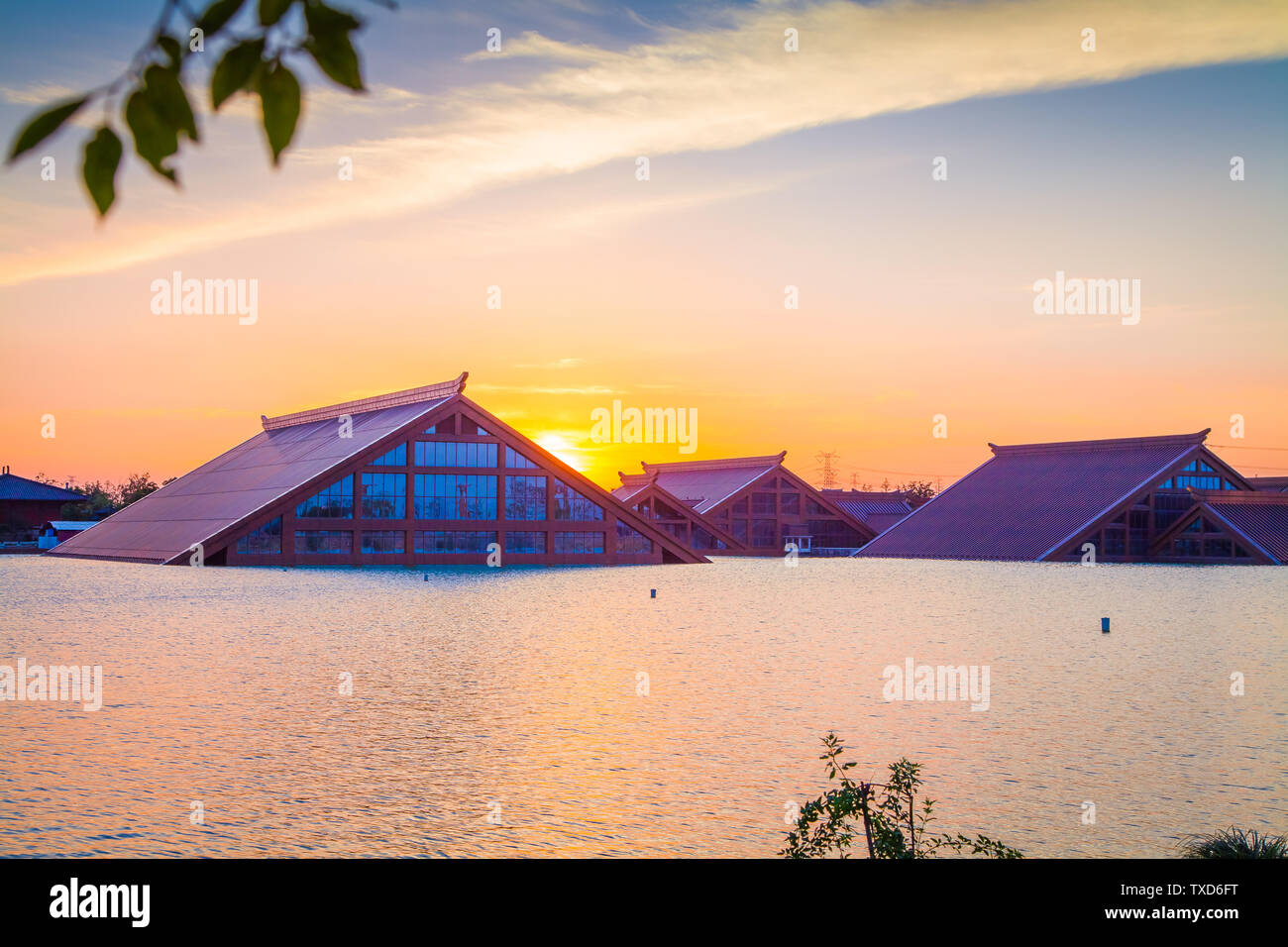 forest ruins of guangfu Stock Photo - Alamy