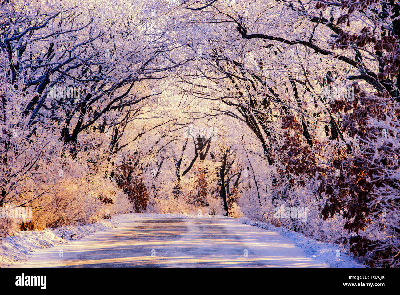 Early winter in Xingkai Lake. Ice period from late November to early ...