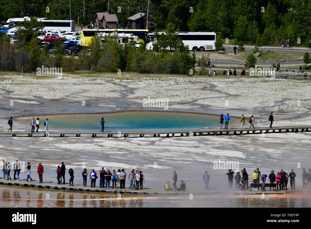 Grand Prismatic Spring view from the Trail head Overlook Stock Photo ...