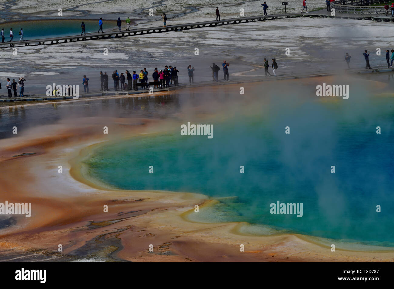 Grand Prismatic Spring view from the Trail head Overlook Stock Photo ...