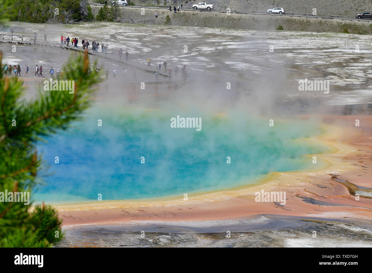 Grand Prismatic Spring view from the Trail head Overlook Stock Photo ...