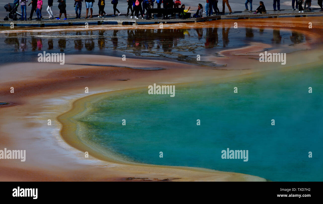 Grand Prismatic Spring view from the Trail head Overlook Stock Photo ...
